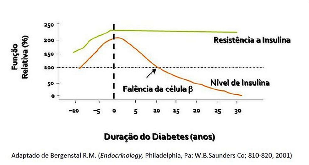 Diabetes tipo 2 - o que significa esta doença para você - Dr. Michael W ...